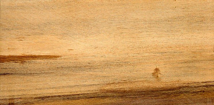The TAXA Wood Gallery