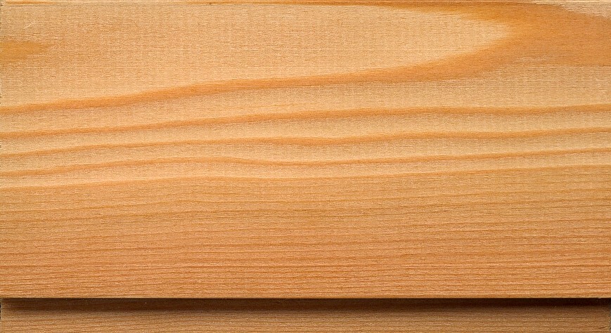 The TAXA Wood Gallery