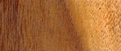 The TAXA Wood Gallery